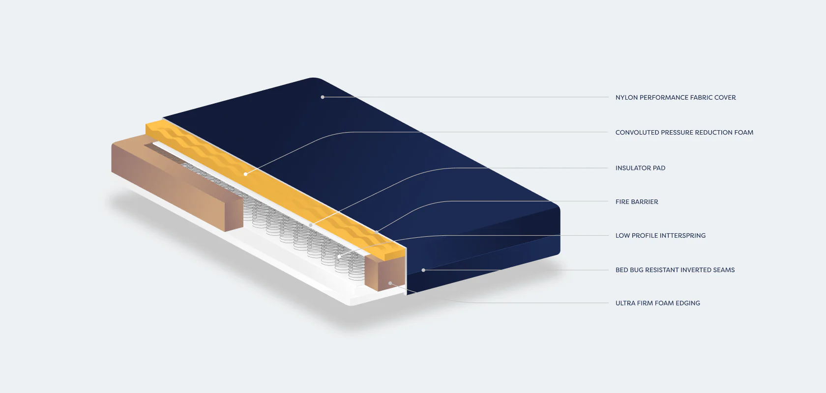 University Sleep by Moonlight – Moonlight